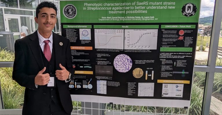 Top Arab Communities in the United States: Who They Are and Where They ...