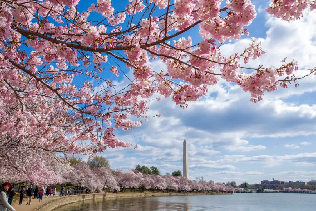 Where to Find Spring Weather in the U.S. Right Now (Best Warm Regions ...